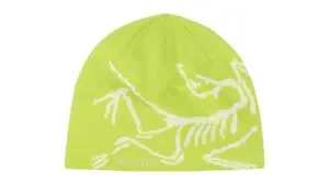 Arc'teryx Bird Head Toque Beanie - Mantis/arctic Silk