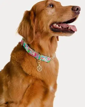 LILLY PULITZER Large/x-large Pet Collar