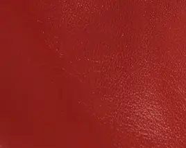 Khaite Dolso Leather Jacket - Deep Red