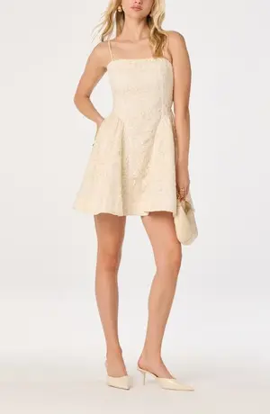 Astr The Label Natalya Embroidered Lace Cotton Blend Minidress - Cream