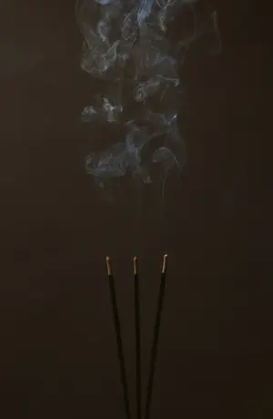 P.F. CANDLE CO. Piñon Incense Sticks