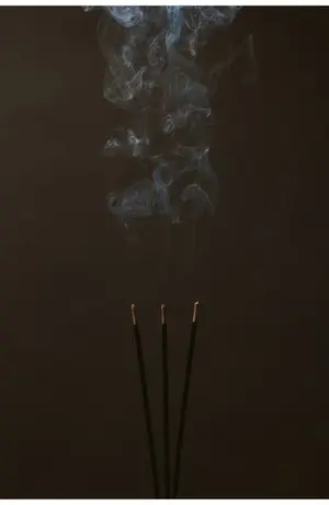 P.F. CANDLE CO. Golden Coast Incense Sticks