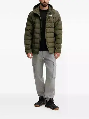 The North Face Hooded Puffer Jacket