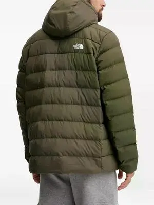 The North Face Hooded Puffer Jacket