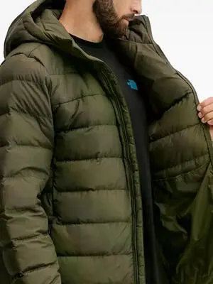 The North Face Hooded Puffer Jacket