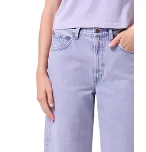 AGOLDE Low Curve High Rise Wide Leg Ankle Jeans