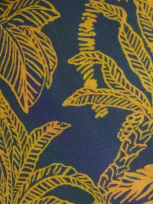 ERES Tropical Print One-piece Swimsuit - Blue