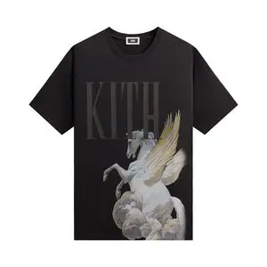 Kith Pegasus Vintage Tee - Black