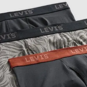 LEVI'S Leaf Print Boxer Brief