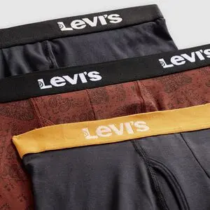 LEVI'S Bandana Boxer Brief - Red Combo