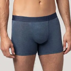LEVI'S Boxer Brief - Blue Combo