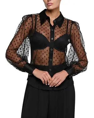 Sheer Long Sleeve Blouses