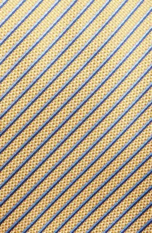 David Donahue Stripe Silk Neck Tie - Gold