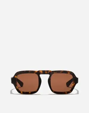 Dolce & Gabbana M's Fashion Showsunglasses - Havana