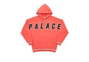 PALACE Full Frontal Hood