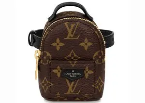 LOUIS VUITTON Party Palm Springs Bracelet Monogram Backpack - Brown