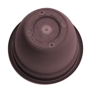 BLOEM Ariana 13 Inch X 7 Inch Gardening Pot
