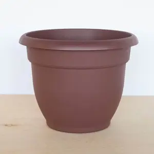 BLOEM Ariana 13 Inch X 7 Inch Gardening Pot