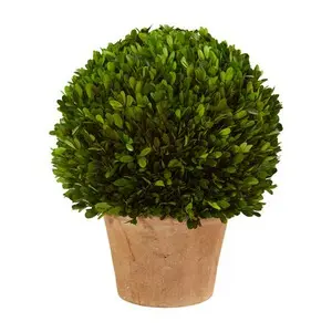 NEARLY NATURAL 15-in Boxwood Ball Preserved Plant In Planter - Green