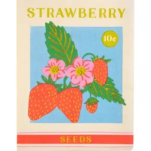 JOLLITY & CO In Bloom Strawberry Seed Packet Large Napkins - Assorted Pre-pack