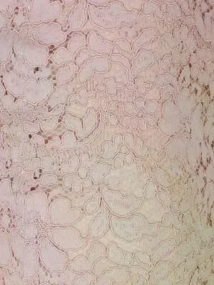 GIANLUCA CAPANNOLO Floral-lace Skirt - Pink