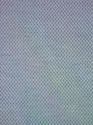 Gucci Fringed Logo-pattern Shawl - Blue