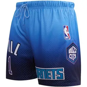 PRO STANDARD Lamelo Ball Charlotte Hornets Name & Number Shorts - Navy