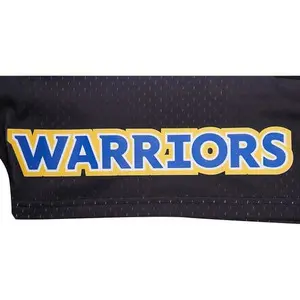 PRO STANDARD Golden State Warriors Ombre Mesh Shorts - Royal