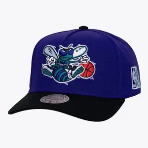 Mitchell & Ness Charlotte Hornets Legendary Home Pro Pinch Snapback Hat - Purple