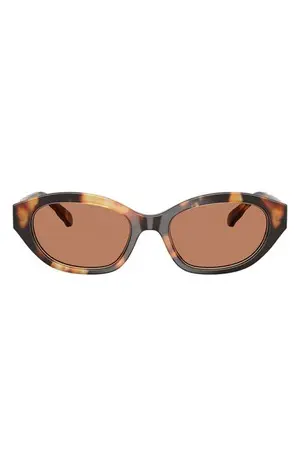 Tory Burch 52mm Polarized Irregular Sunglasses - Contrast Tortoise/amber
