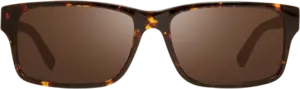 REVO LIFESTYLE Finley Sunglasses - Terra