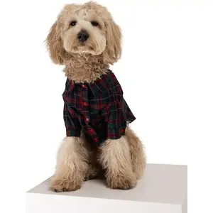 MOSHIQA Brad Dog Shirt