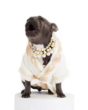 MOSHIQA Juliet Dog Luxurious Bathrobe