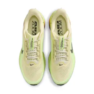 Nike Pegasus Premium Road Running Shoes