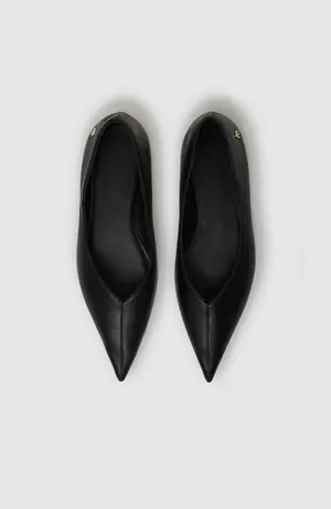 ANINE BING Hilda Ballerinas