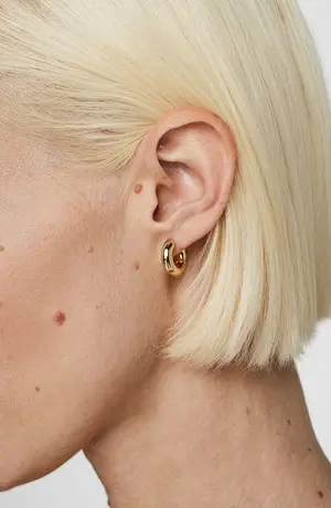 ANINE BING Bold Link Hoop Earrings