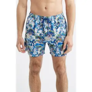 BOARDIES Printed Swim Trunks - Blue