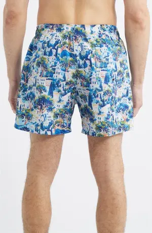 BOARDIES Printed Swim Trunks