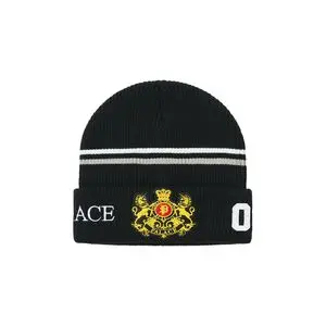 PALACE Established Beanie - Black