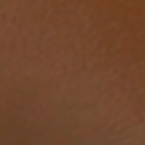 STUART WEITZMAN Leather Stassi Mules - Brown