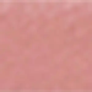 Loewe Leather Anagram Petal Slides - Pink
