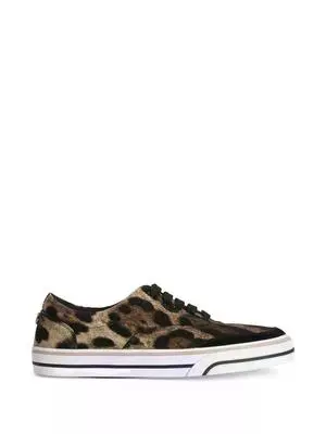 Dolce & Gabbana Dg Sailing Printed Canvas Sneakers - Brown