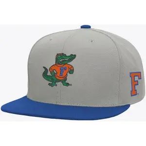Mitchell & Ness Royal Florida Gators Plaid Og Snapback Hat - Gray