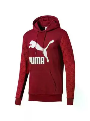 Puma Trimmed Sweatshirts Hoodies For Men