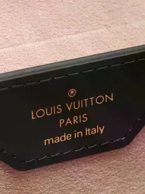 LOUIS VUITTON Epi Papillon Trunk Shoulder Bag 2021-2026 - Black