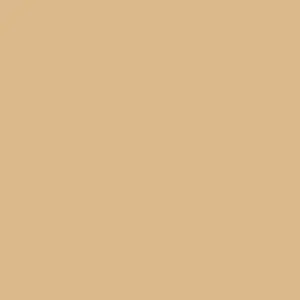 Bobbi Brown Skin Foundation Stick - Neutral