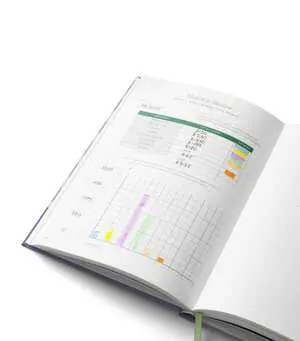 Papier Starry Ikat A5 Finance Planner