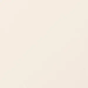 Aerin Lacquered Varda Photo Frame
