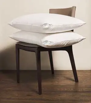 Harrods Thermal Balance Pillow