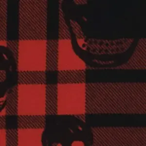 Alexander McQueen Cotton-silk Tartan Skull Scarf